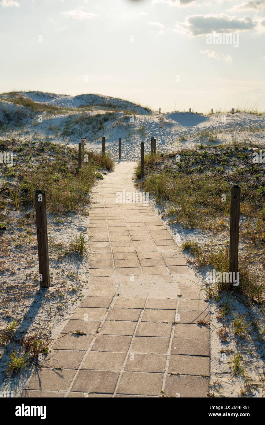 Concrete pavement with wooden poles at the side on the beach sand dunes ...