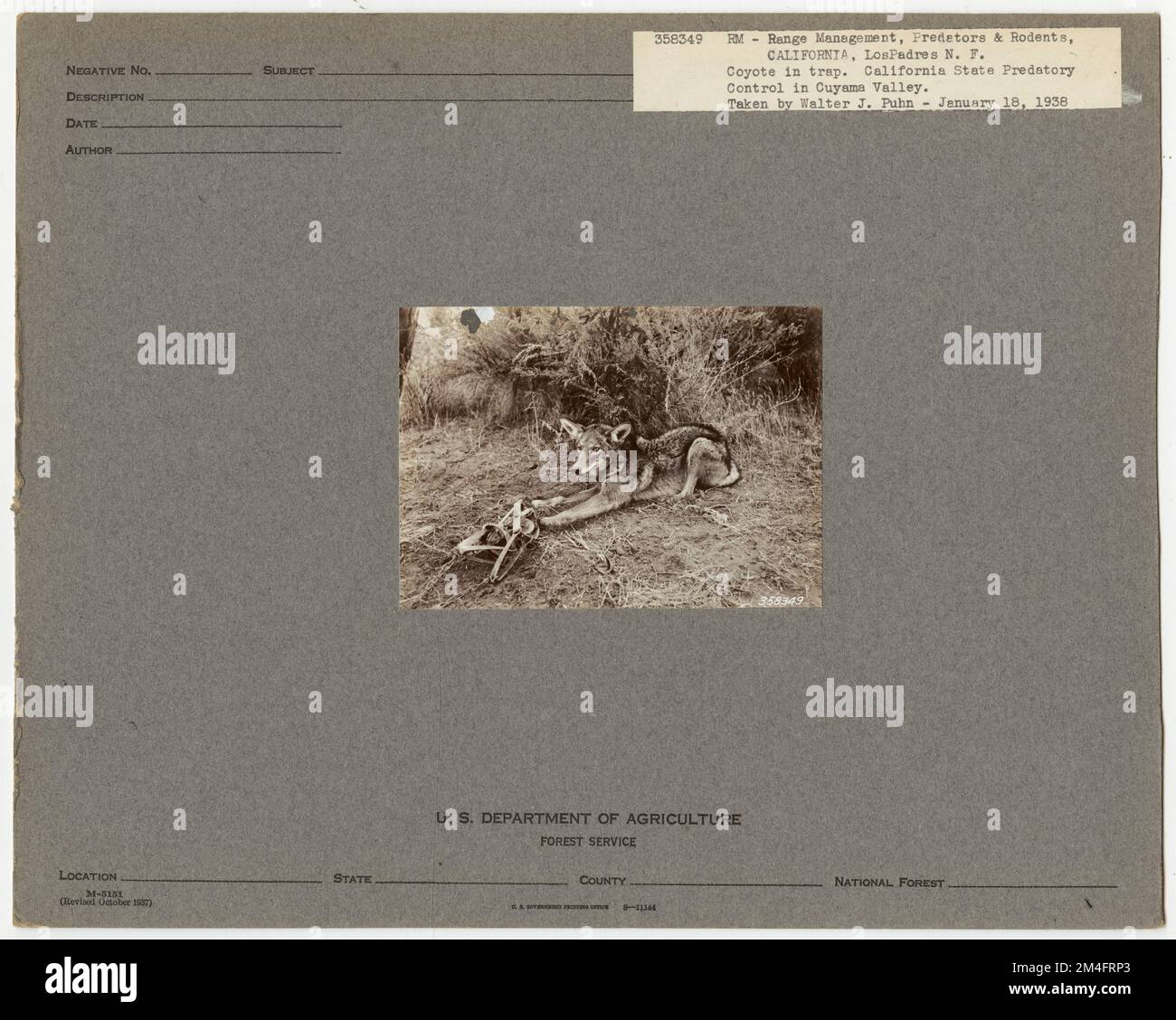 Animal Damage Control Methods - All States. Photographs Relating to ...