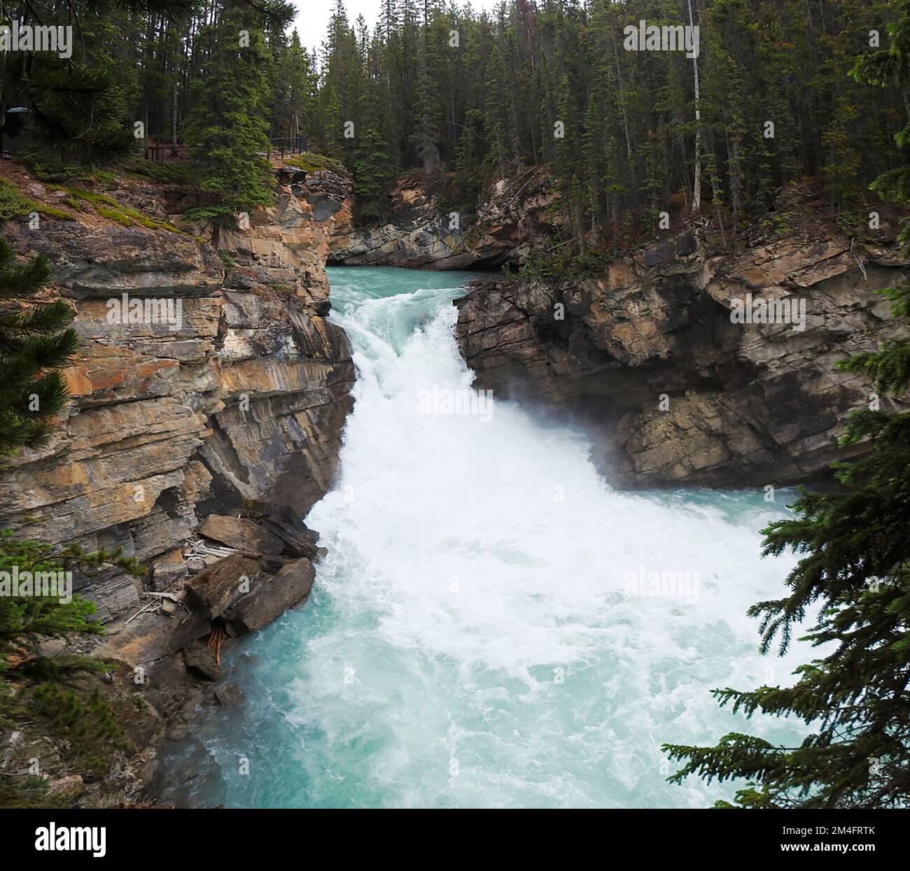 Canad jasper hi-res stock photography and images - Alamy