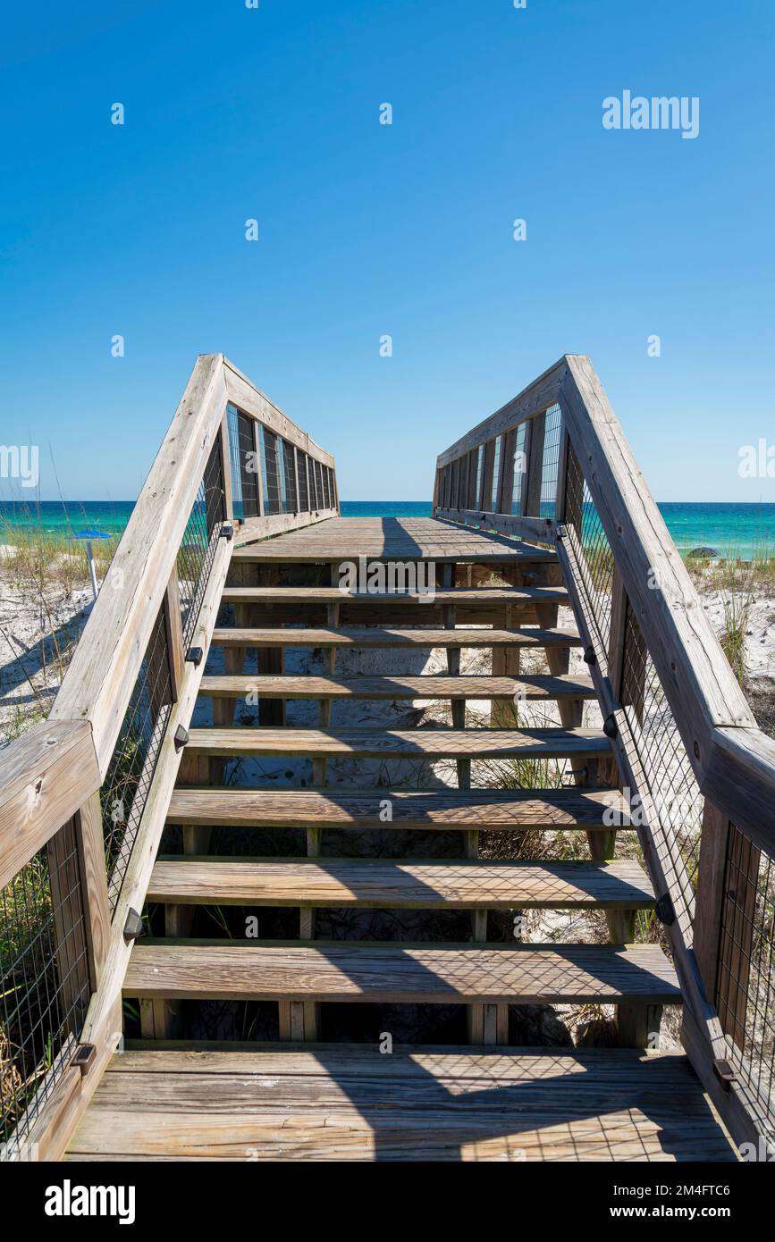 Wooden stairs of a boardwalk over the white sand dunes with grasses ...