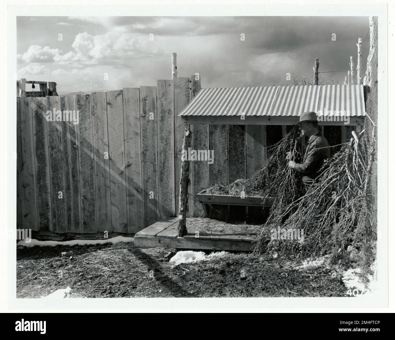 Wildlife Tagging and Marking - All States. Photographs Relating to ...