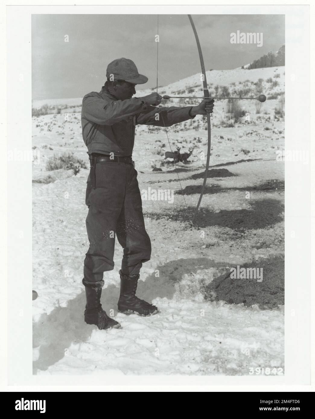 Wildlife Tagging and Marking - All States. Photographs Relating to ...