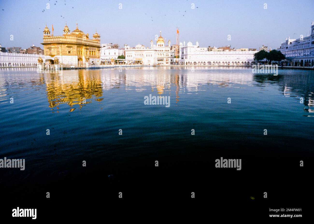 Important follower hi-res stock photography and images - Alamy
