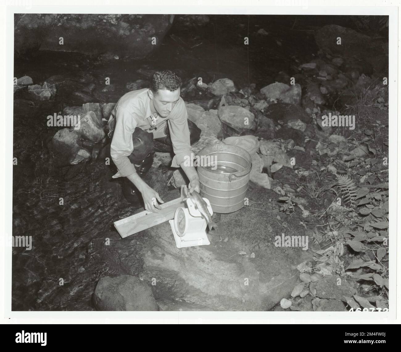 Conservation land animal habitat Cut Out Stock Images & Pictures - Alamy