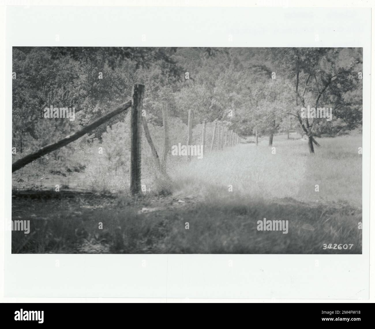 Conservation land animal habitat Cut Out Stock Images & Pictures - Alamy