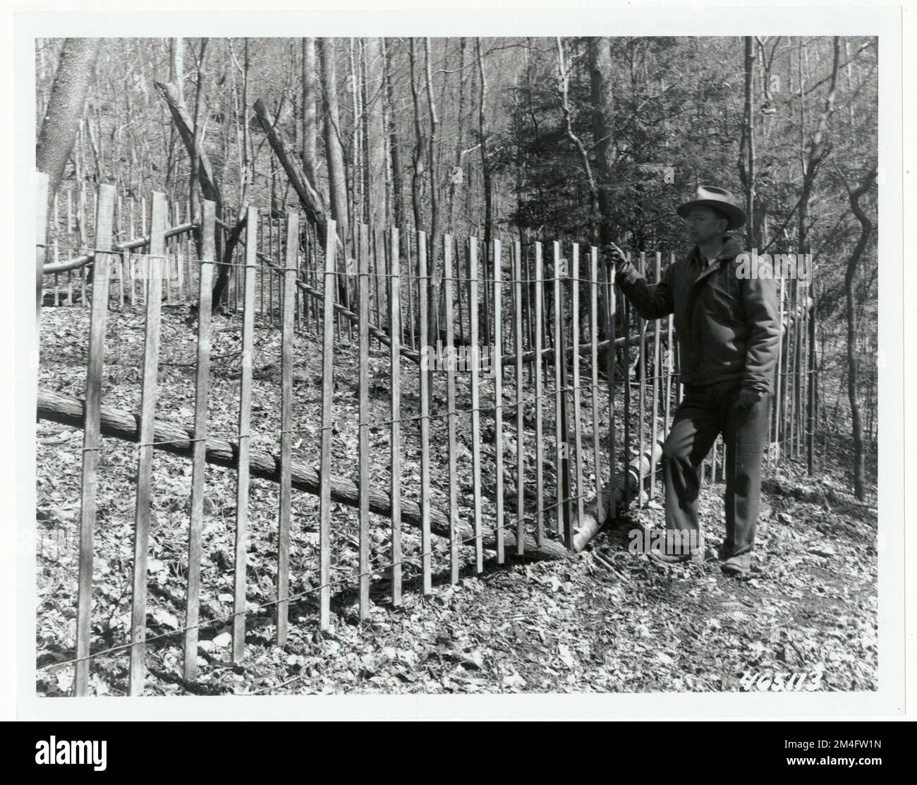 Animal photographs Cut Out Stock Images & Pictures - Alamy