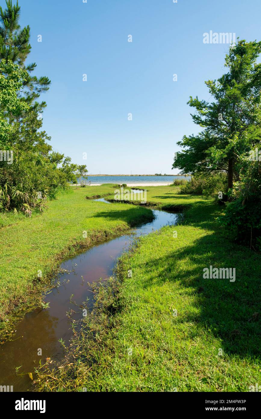 Winding watercourse channel in the middle of green plants at Destin ...
