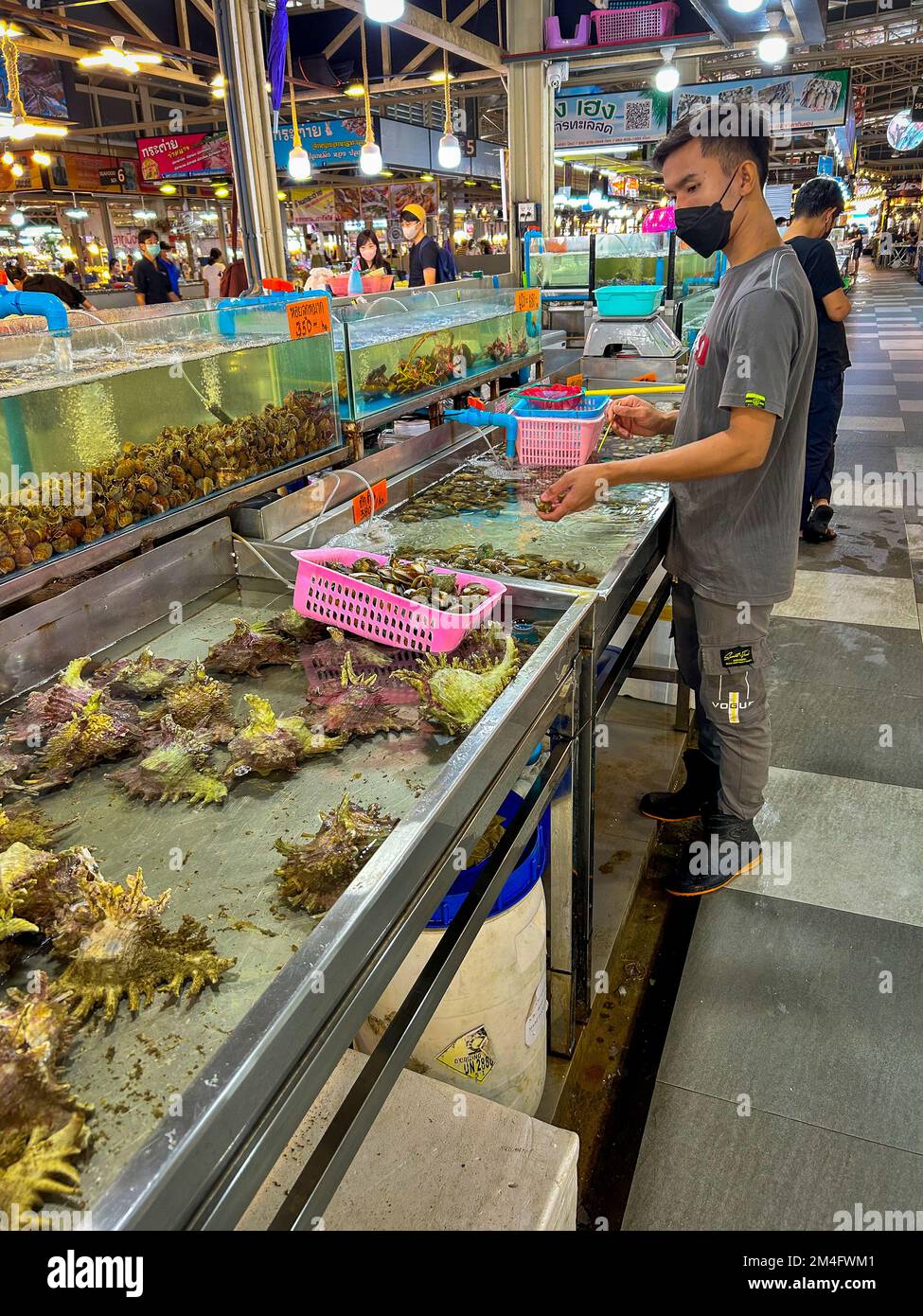 Bangkok, Thailand, Thawi Watthana, Thonburi Market Place, Food shopping ...