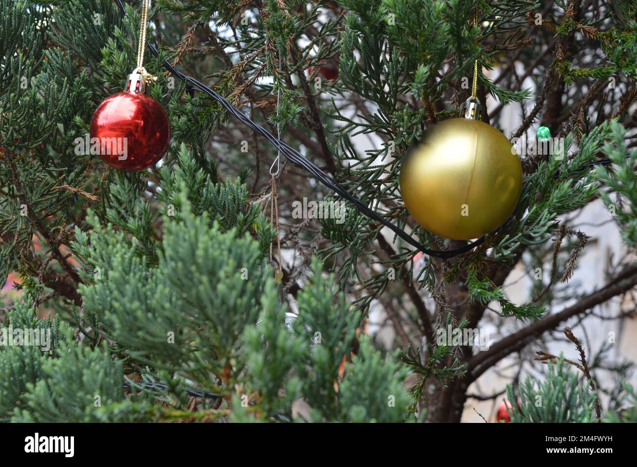 Christmas background - baubles and branch of spruce tree Stock Photo ...