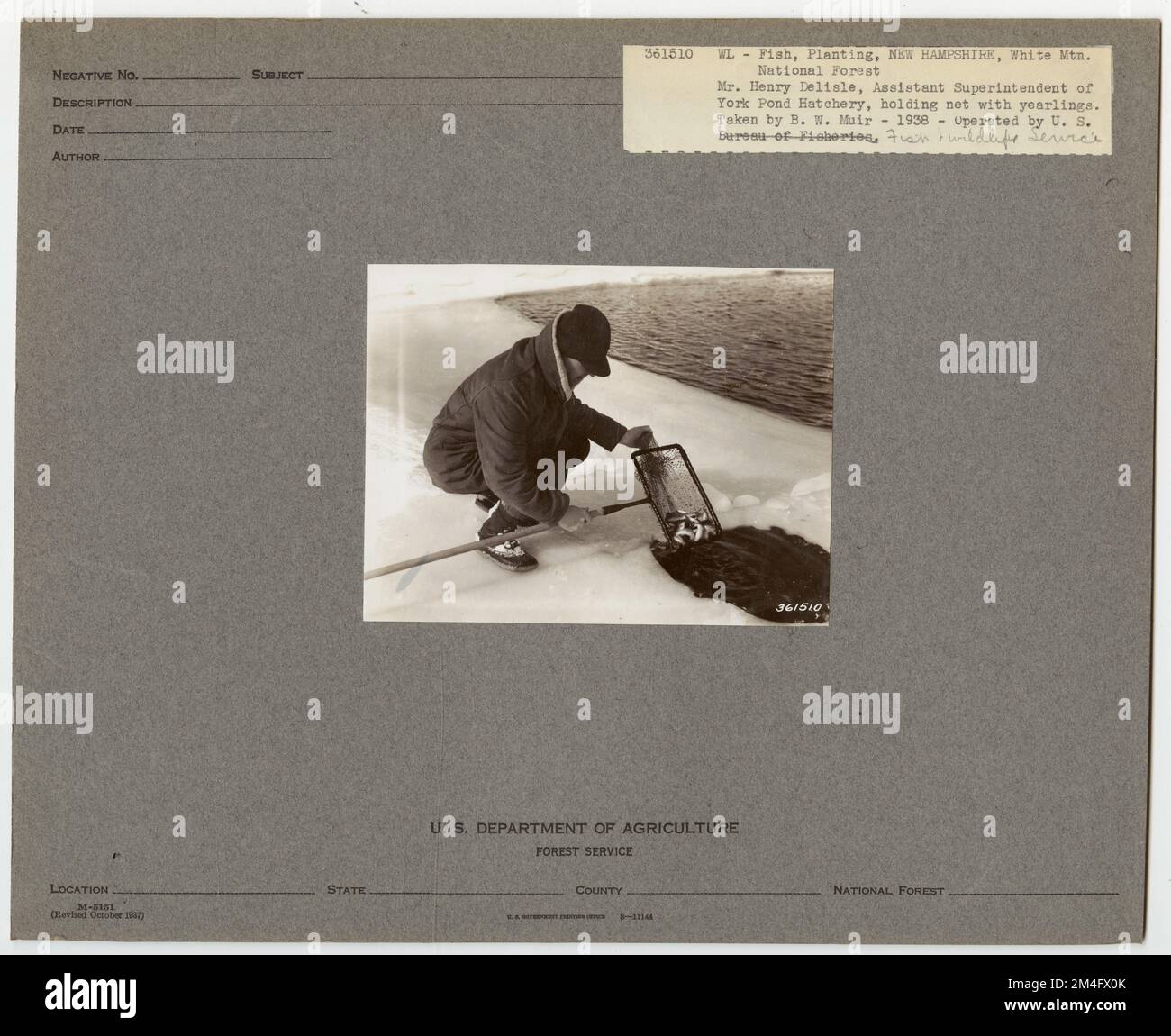 Fish Hatcheries - New Hampshire. Photographs Relating to National ...