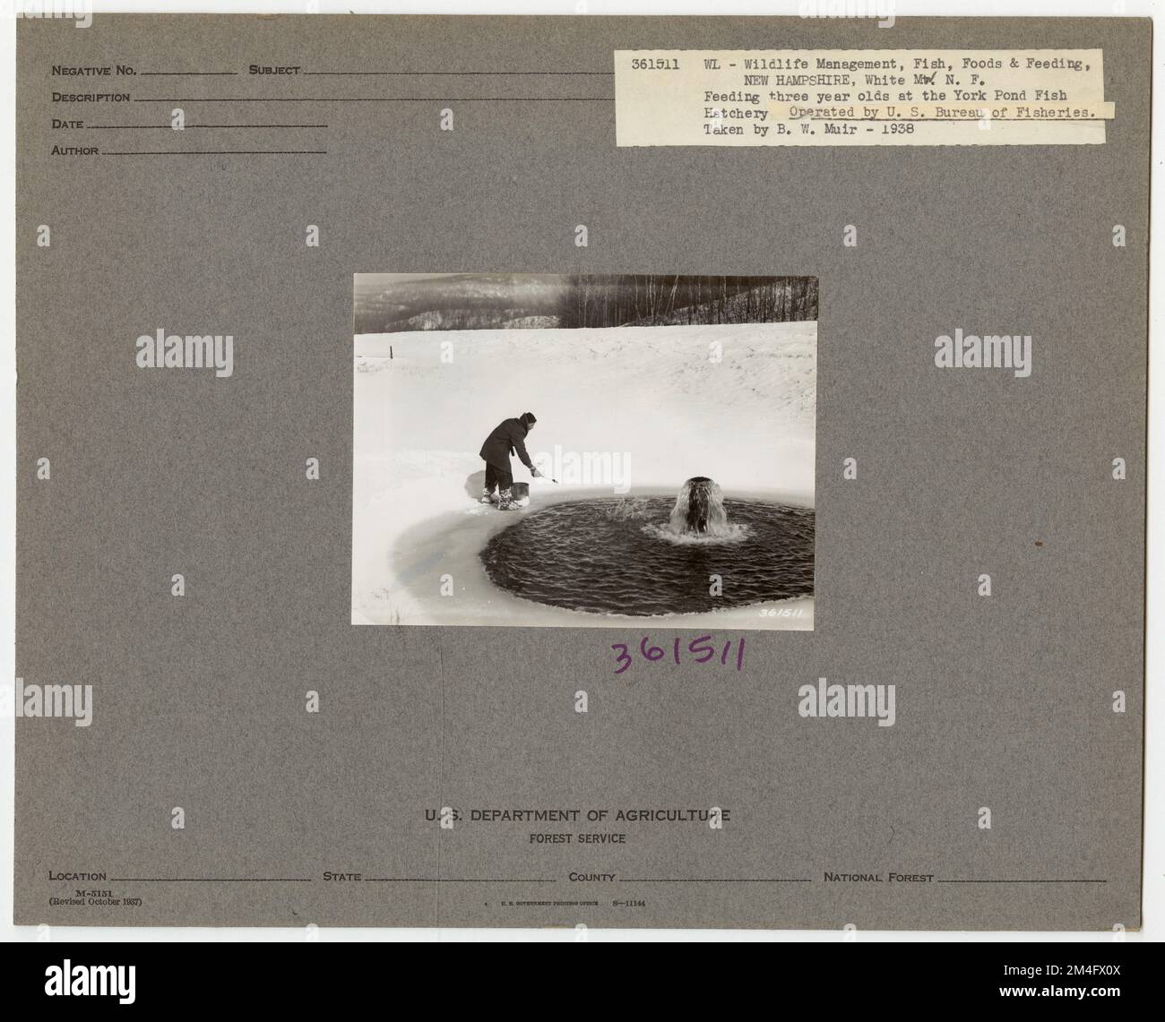 Fish Hatcheries - New Hampshire. Photographs Relating to National ...