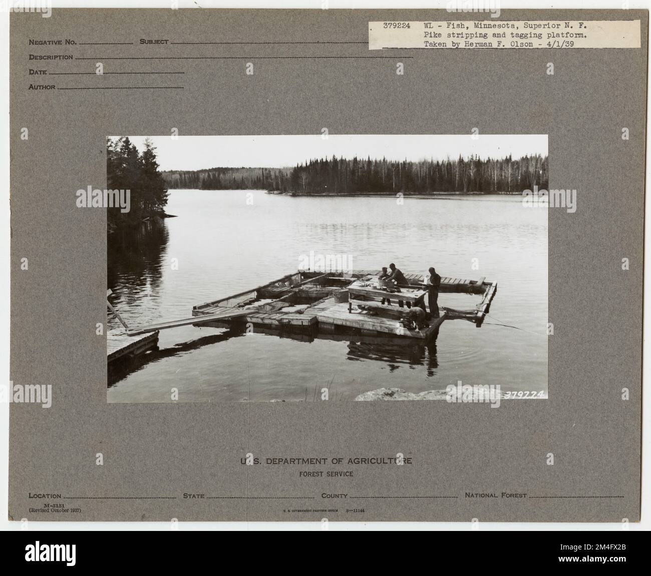 Fish Hatcheries - Minnesota. Photographs Relating to National Forests ...