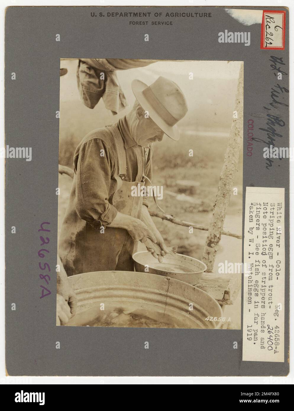 Fish Hatcheries - Colorado. Photographs Relating to National Forests ...