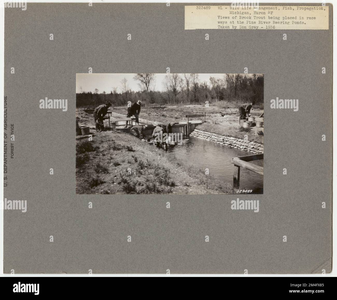 Fish Hatcheries - Michigan. Photographs Relating to National Forests ...