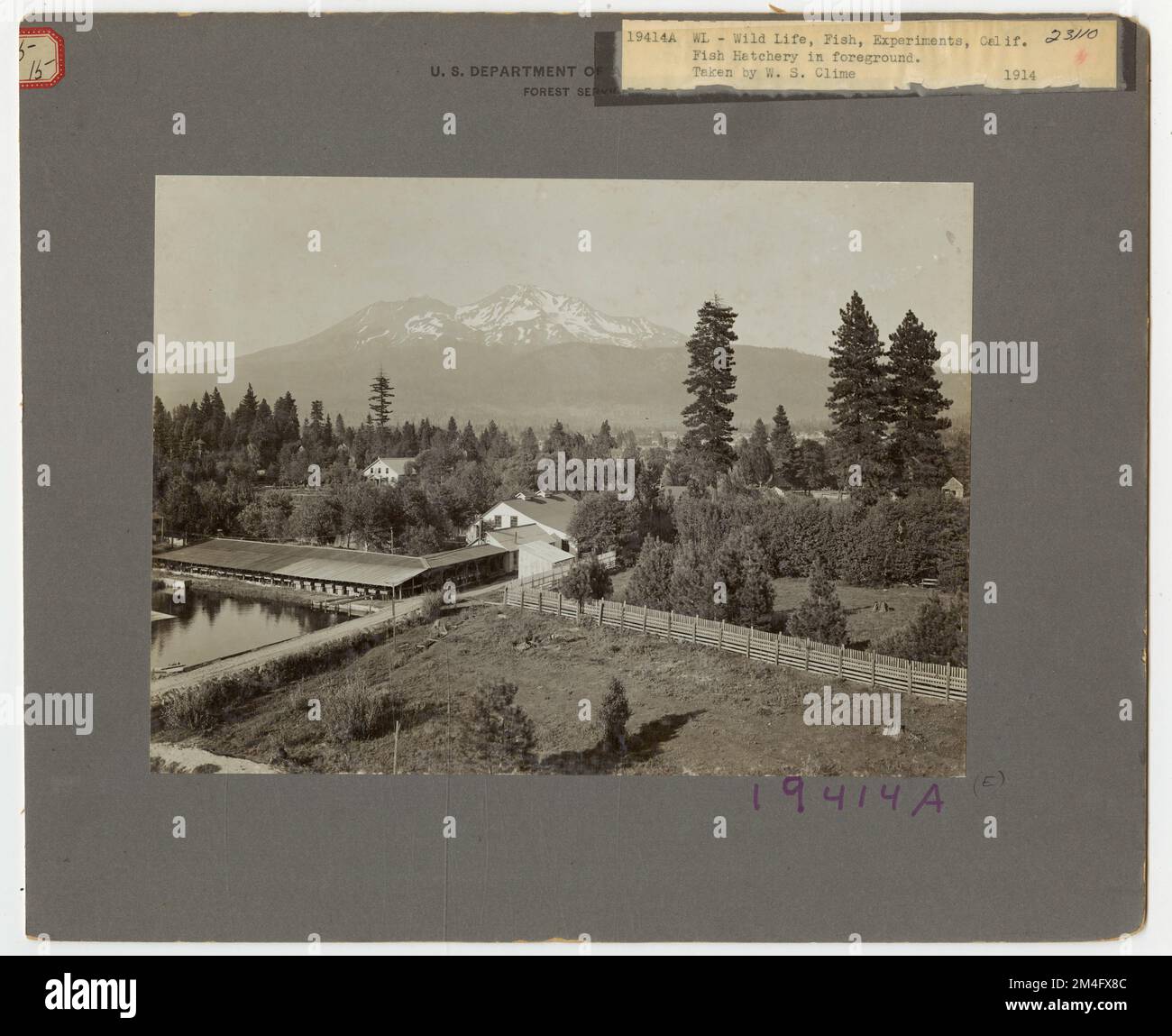 Fish Hatcheries - California. Photographs Relating to National Forests ...