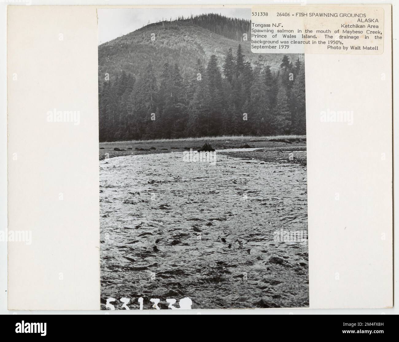 Fish Hatcheries - Alaska. Photographs Relating to National Forests ...