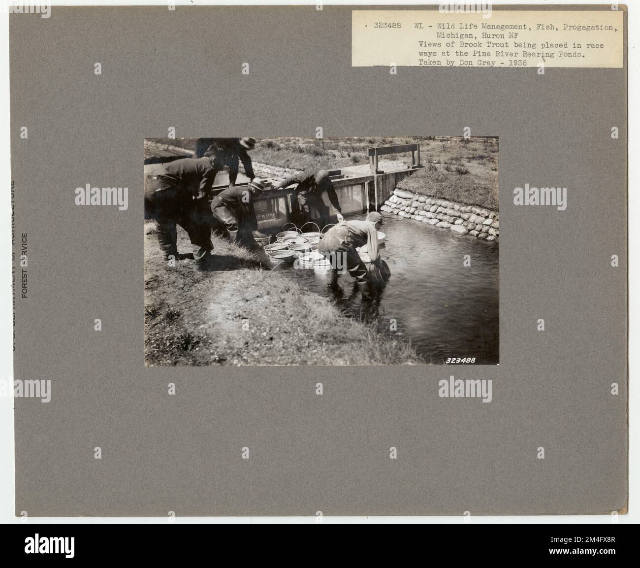 Fish Hatcheries - Michigan. Photographs Relating to National Forests ...