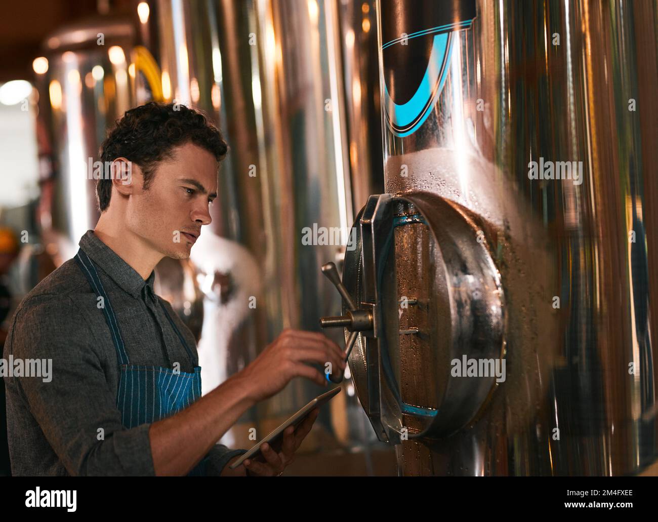 Inspection is important in this business. a young working man doing ...