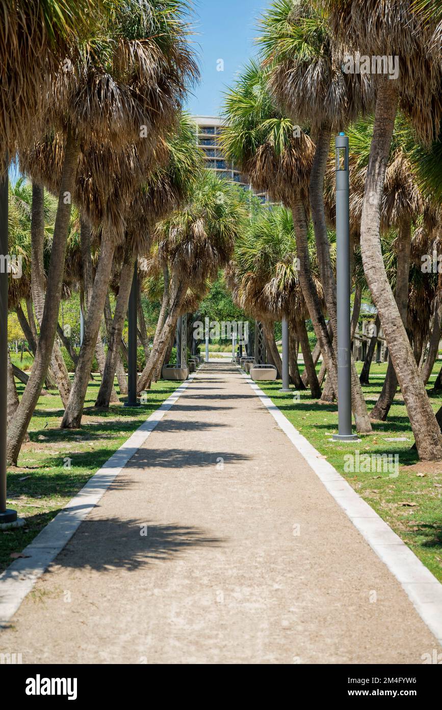 Pathway with white lines on both sides near the modern street lights ...