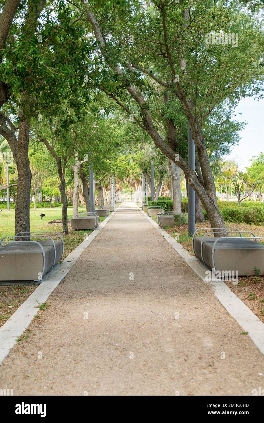 Pathway with white lines and seats near the trees on the side in Miami ...