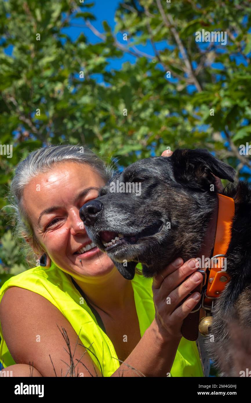 Female dog walker with pack of dogs walking the trail in the forest on ...