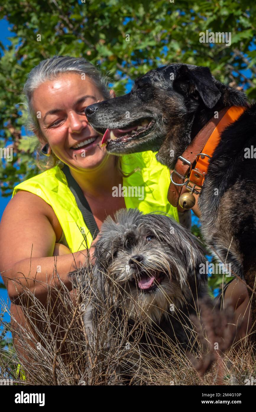 Female dog walker with pack of dogs walking the trail in the forest on ...