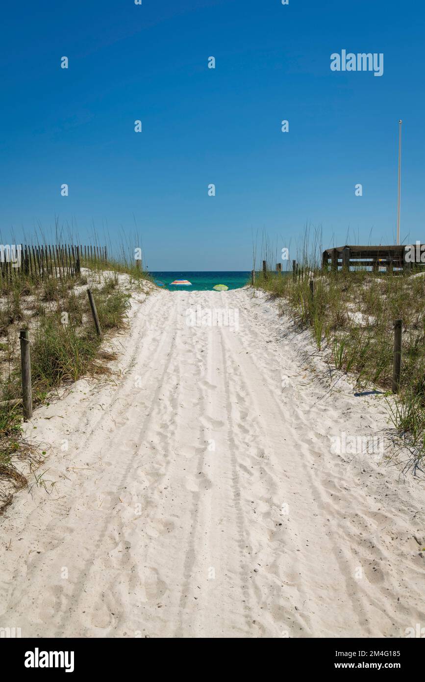 White sand off-road with grasses on the side heading to the beach at ...