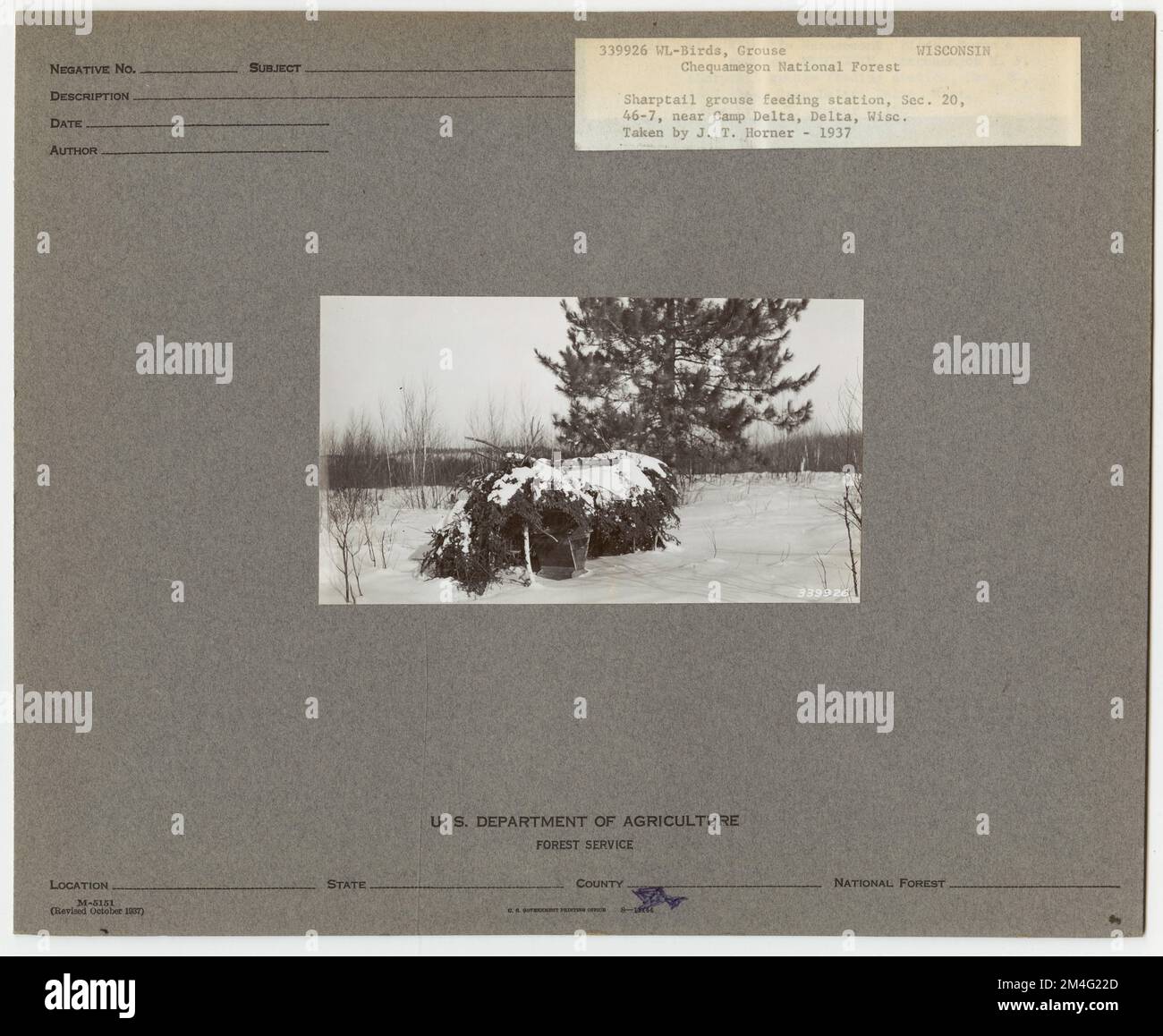 Wildlife Homes: Nests and Dens - All States. Photographs Relating to ...