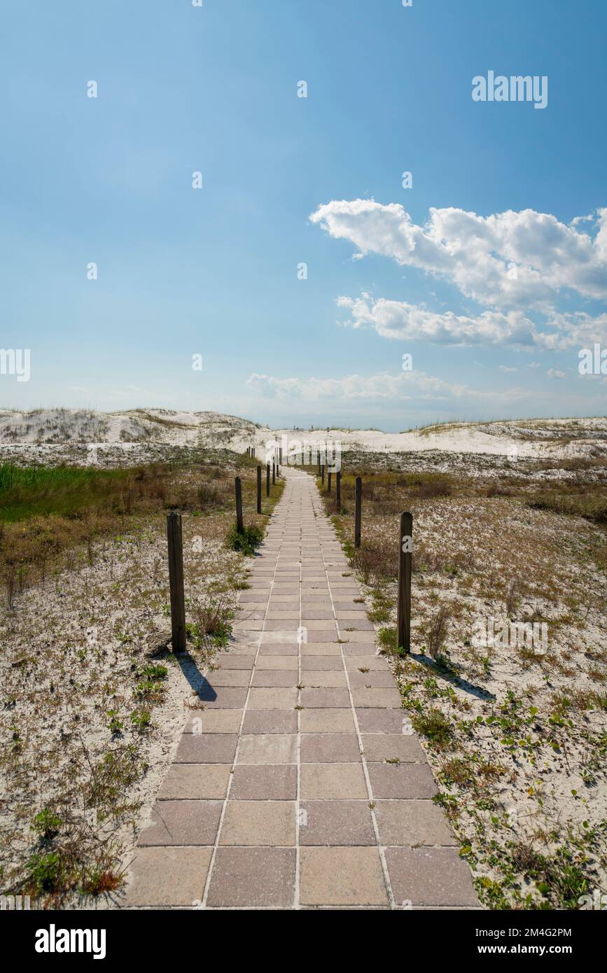 Stone tiles pavement at the center of sand dunes with grasses in Destin ...