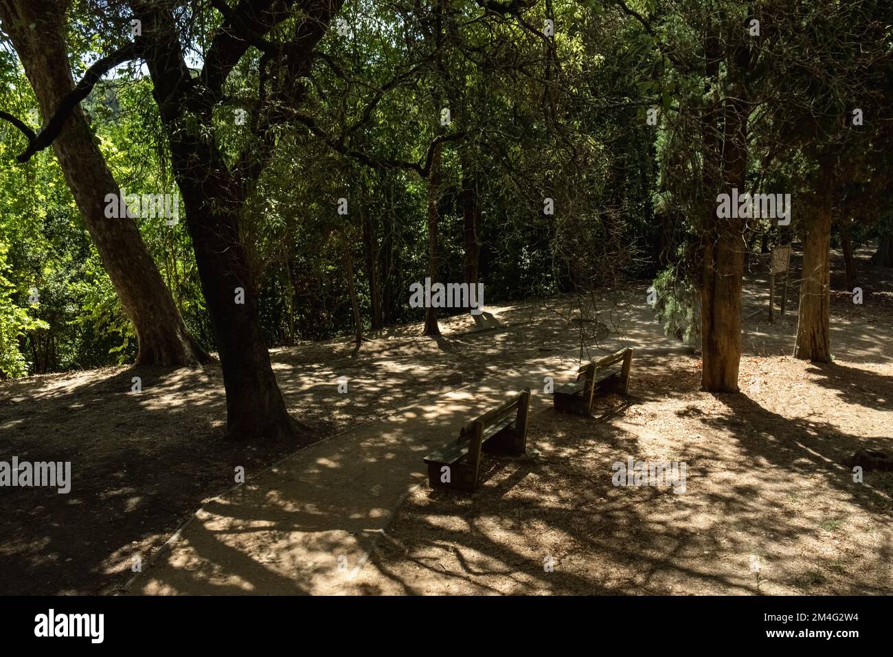 Convent of Christ or Convento de Cristo, ornately sculpted, Manueline ...