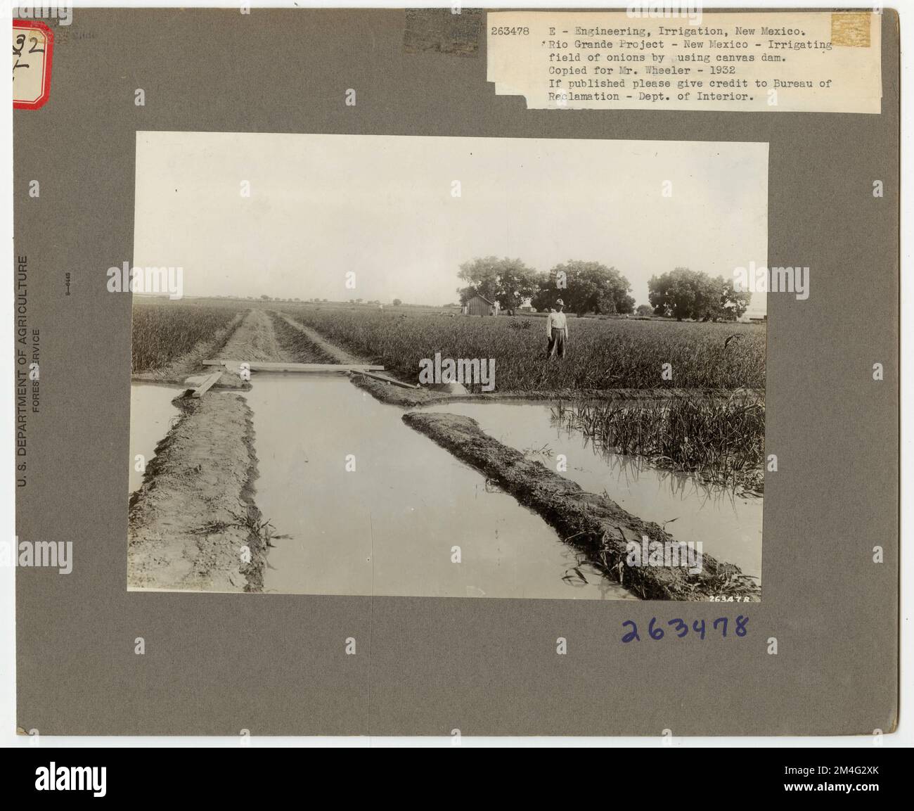 Water Use: Irrigation - New Mexico. Photographs Relating to National ...