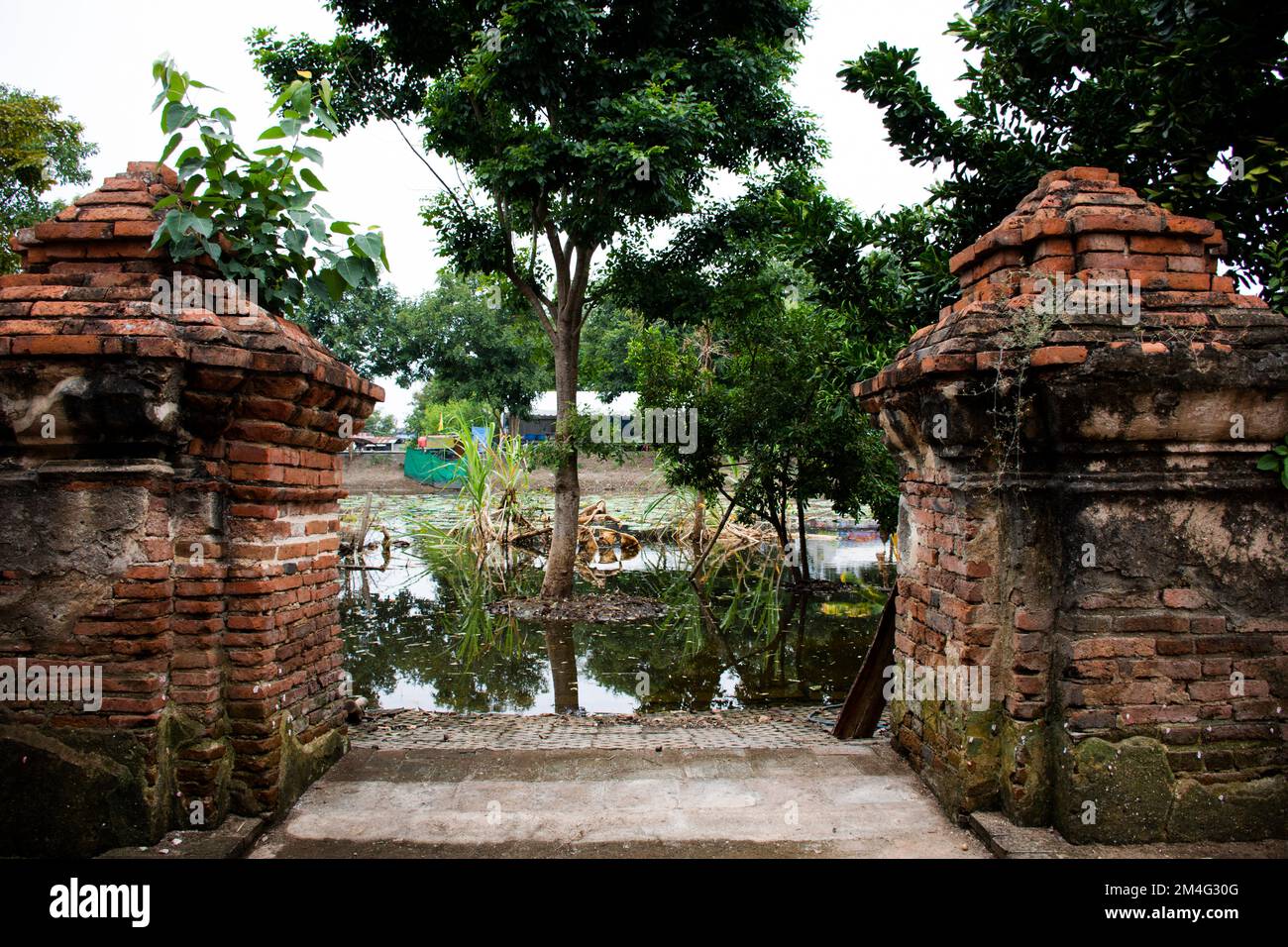 View landscape archaeological site garden outdoor of ancient Wat Phu ...