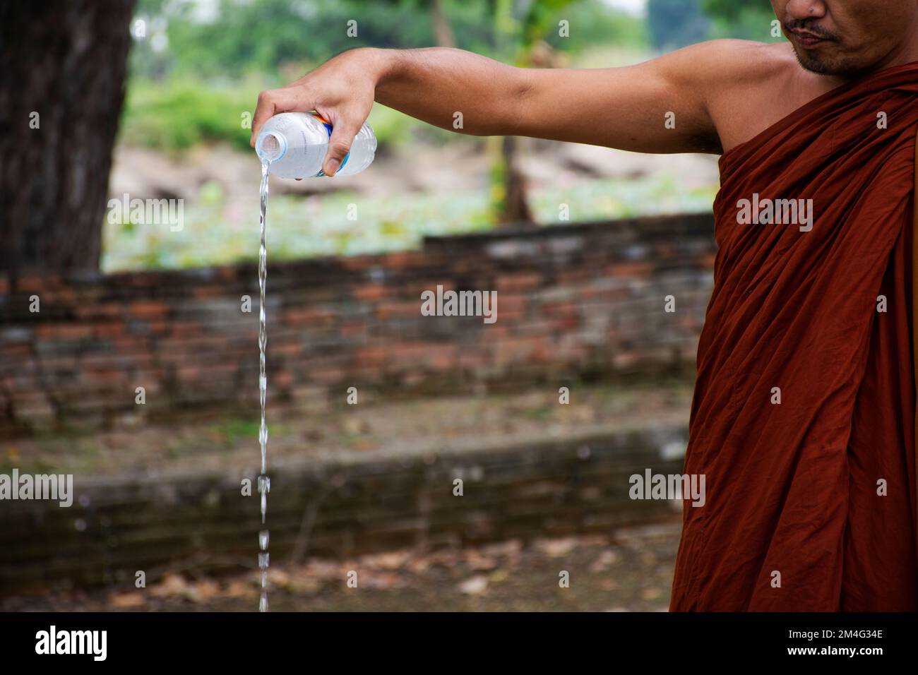 Ancient traditional thai rite ritual with thai monks making pouring ...