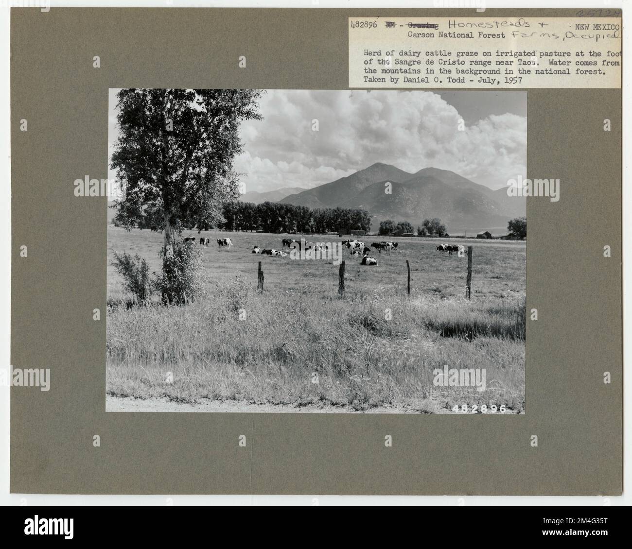 Water Use: Irrigation - New Mexico. Photographs Relating to National ...