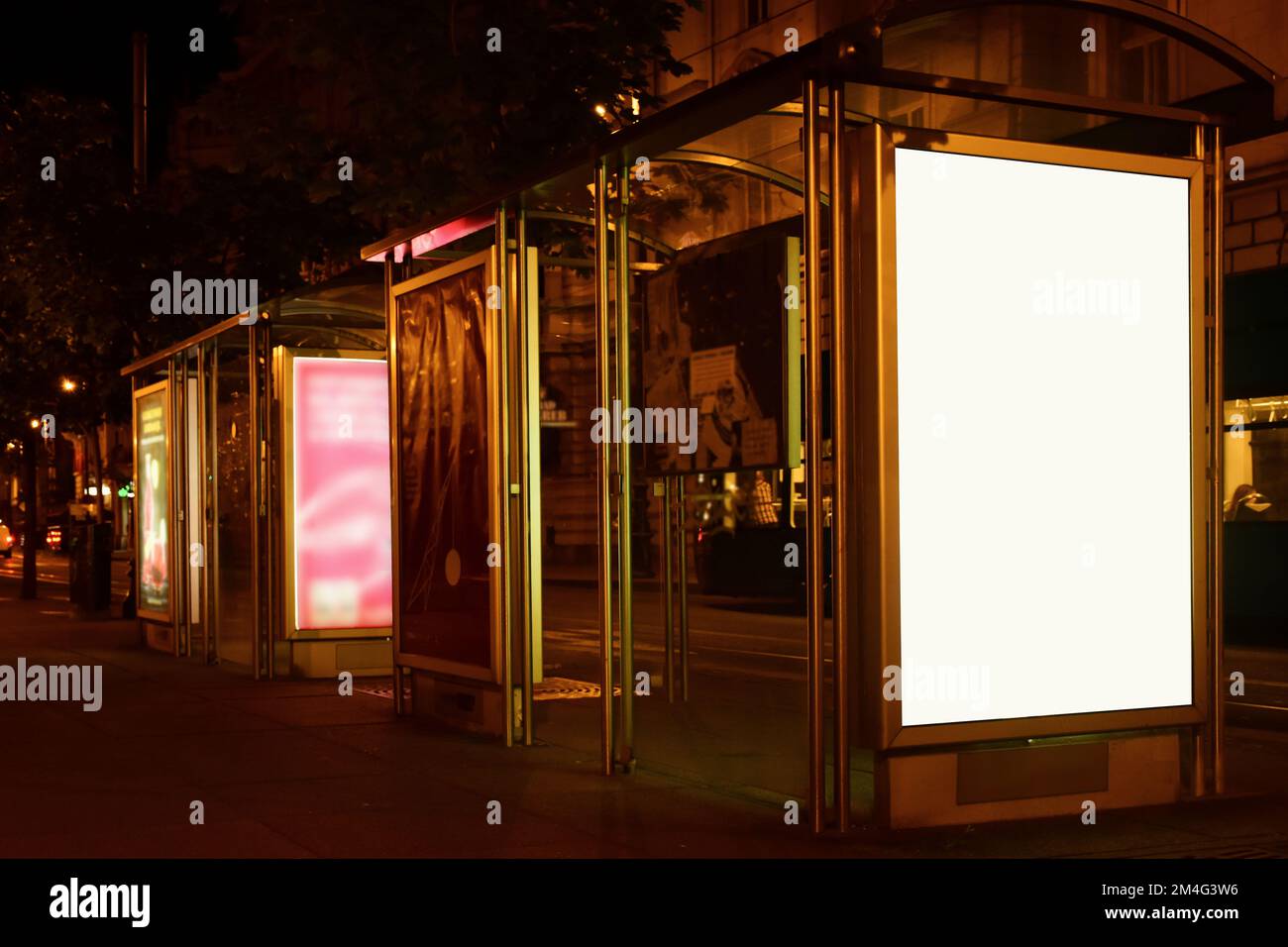 billboard ad space at busstop. blank white lightbox.night scene with ...