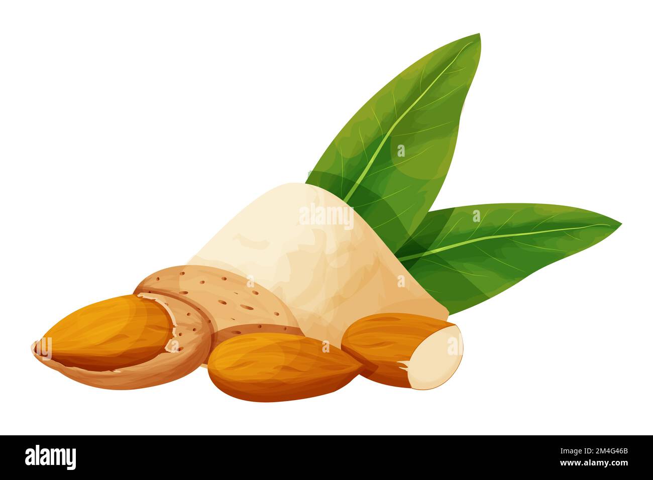 Almond powder, flour decorated with almond nuts in nutshell, leaves in ...