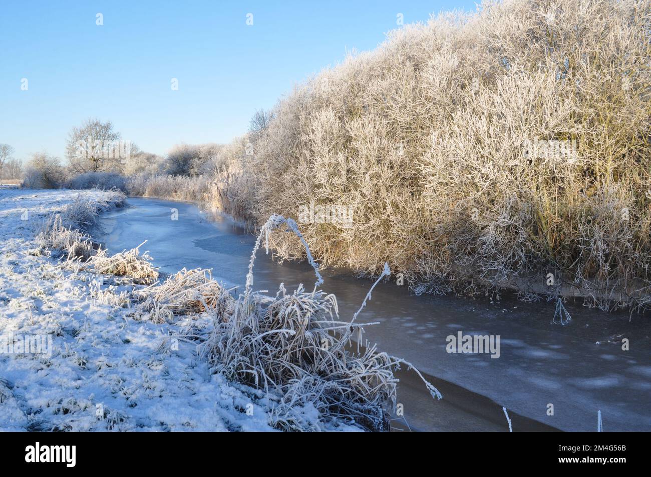 Wicken Fen in the Cambridgeshire Fens, England UK Stock Photo - Alamy