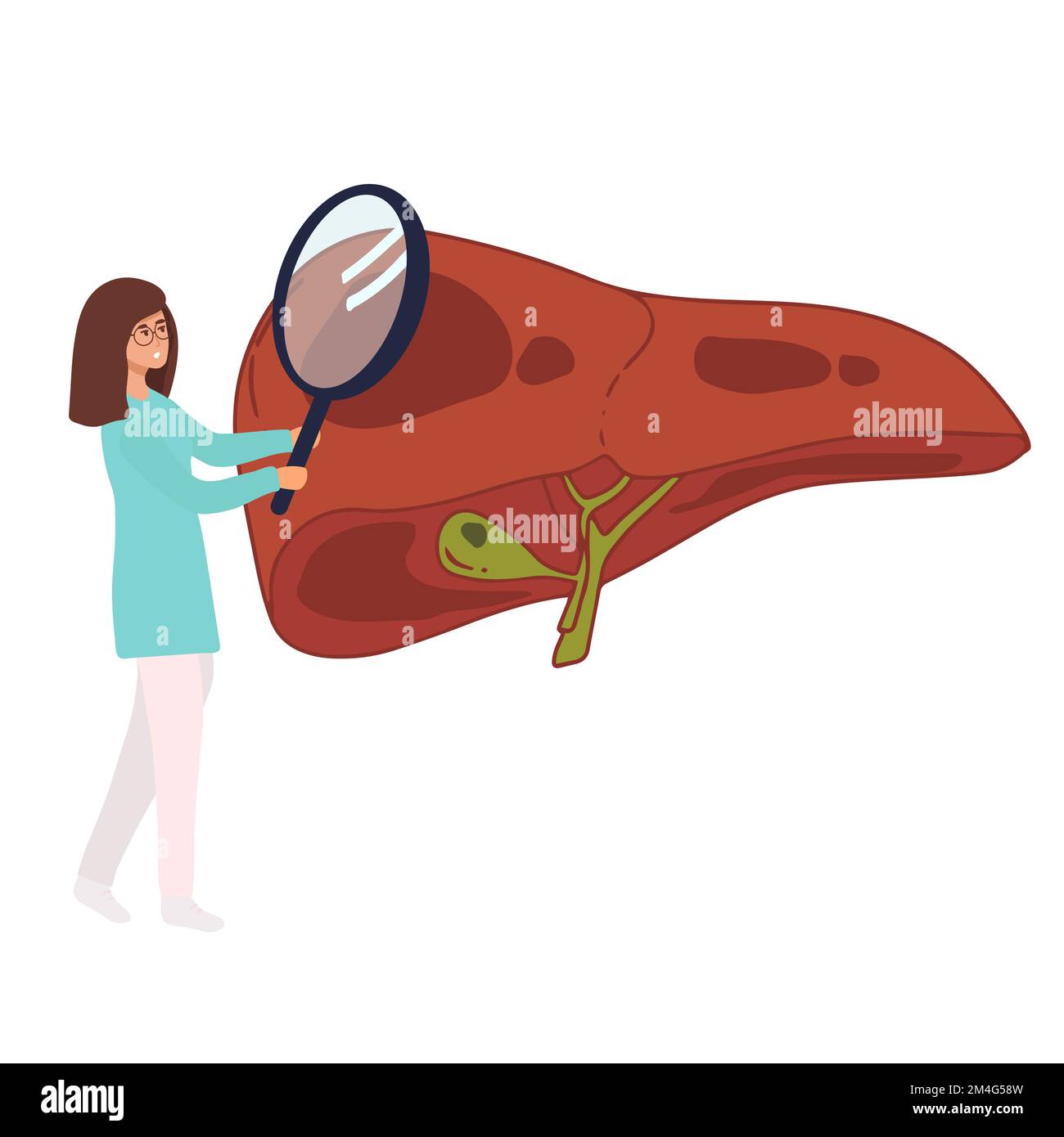 Vector of a group of doctors examining patient liver, performing lab ...