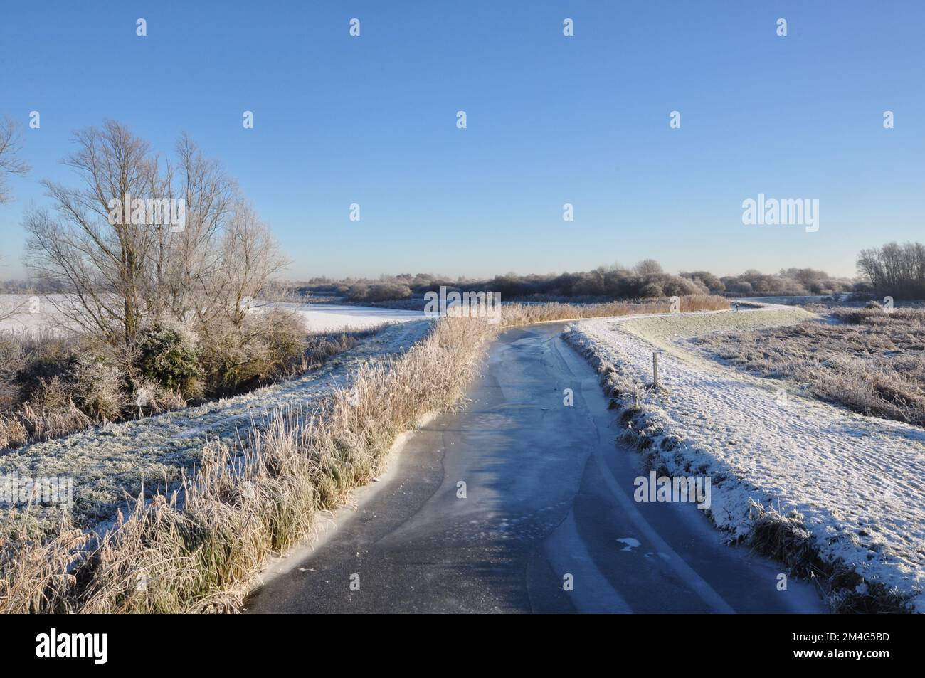 Wicken Fen in the Cambridgeshire Fens, England UK Stock Photo - Alamy