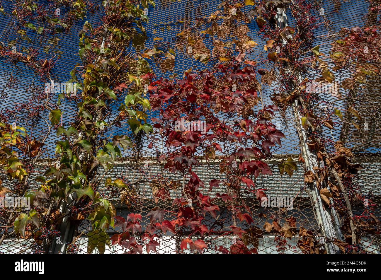 Close-up of the Doctoral School building, at the University of the ...