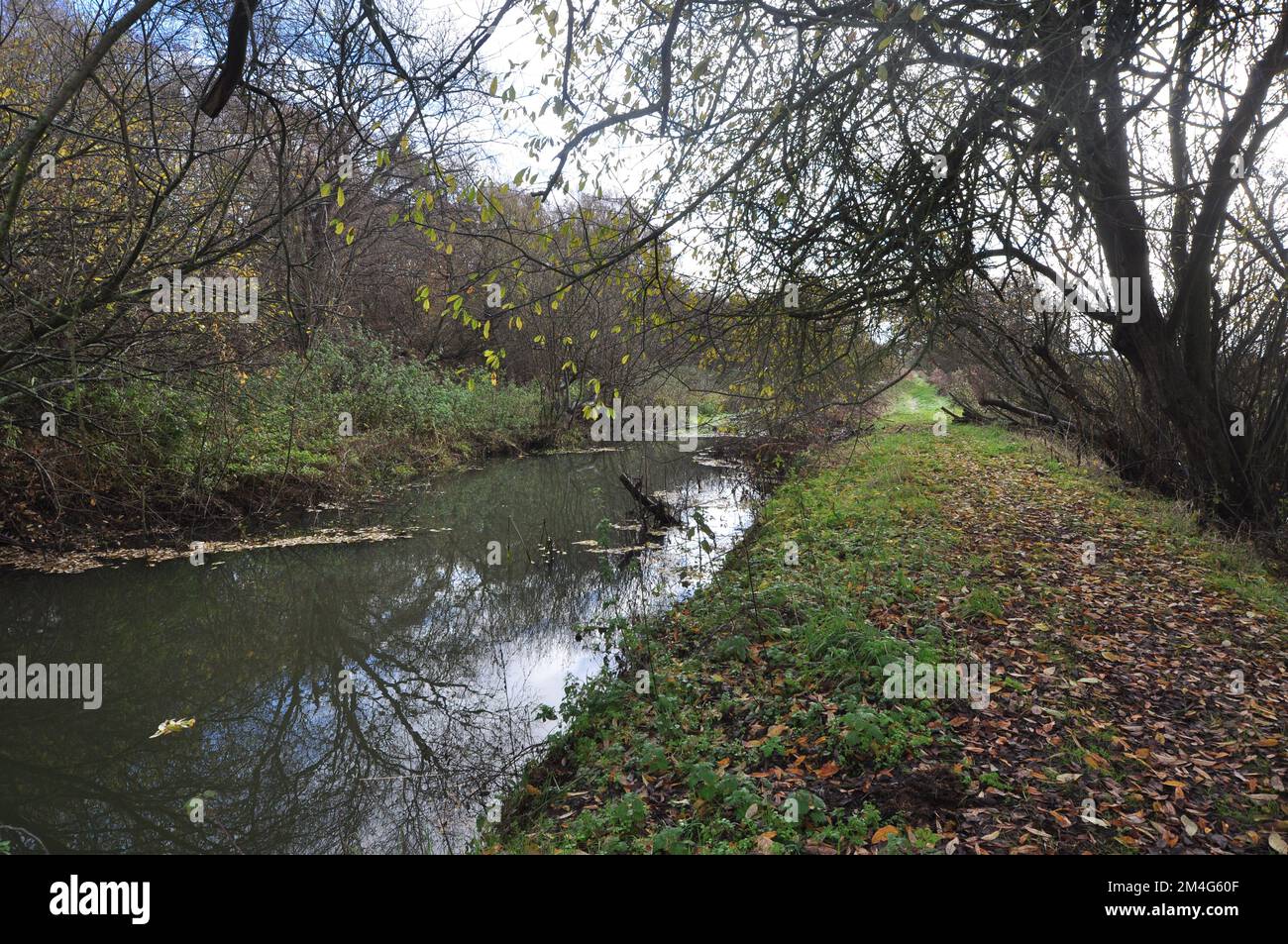 Minsmere River New Cut, Minsmere, Suffolk, England, UK Stock Photo - Alamy