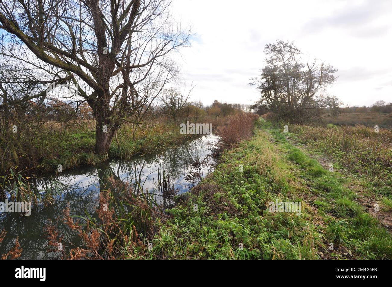 Minsmere river hi-res stock photography and images - Alamy