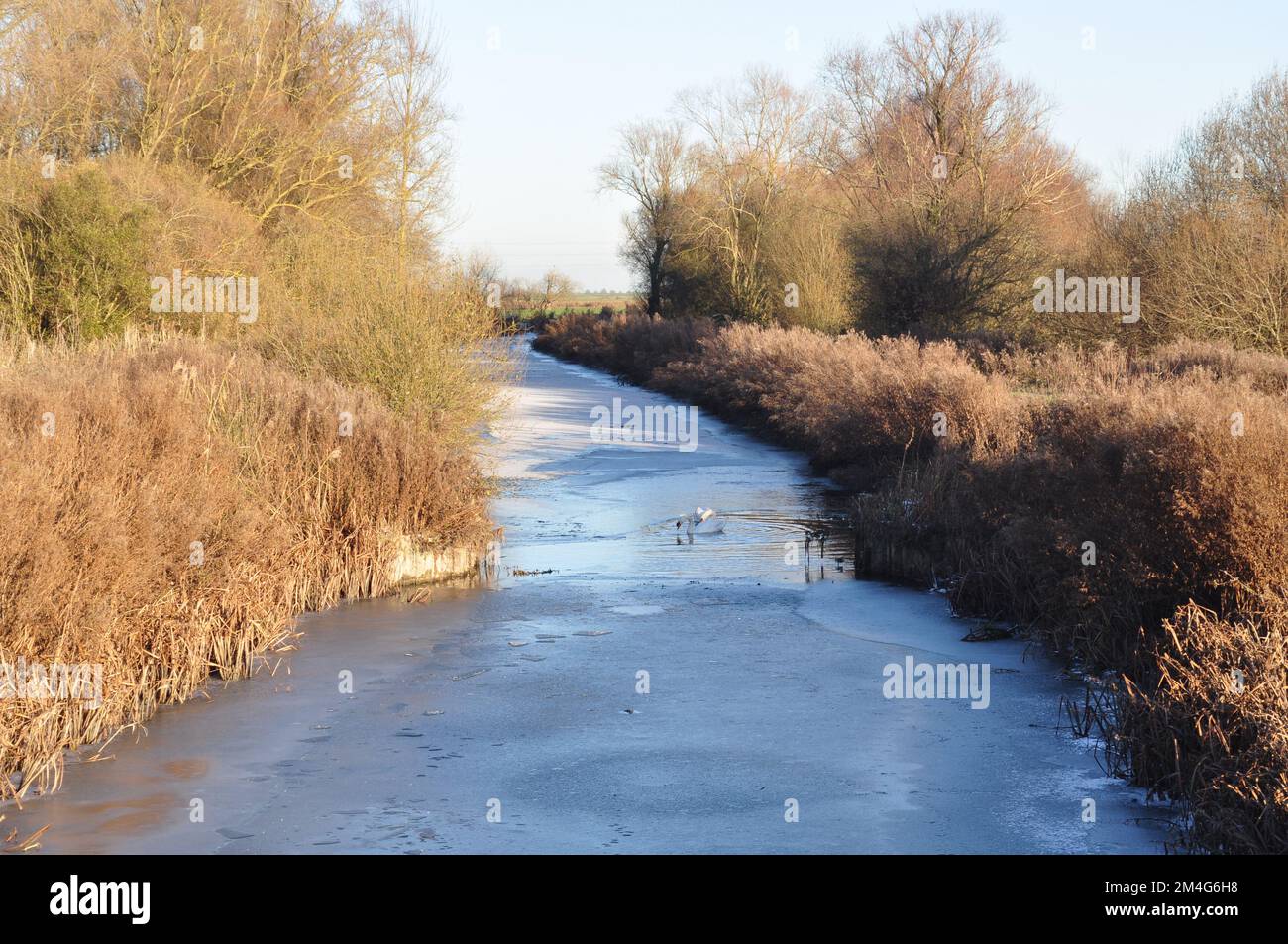 Morton's Leam near Whittlesey, Cambridgeshire Fens, England, UK Stock ...