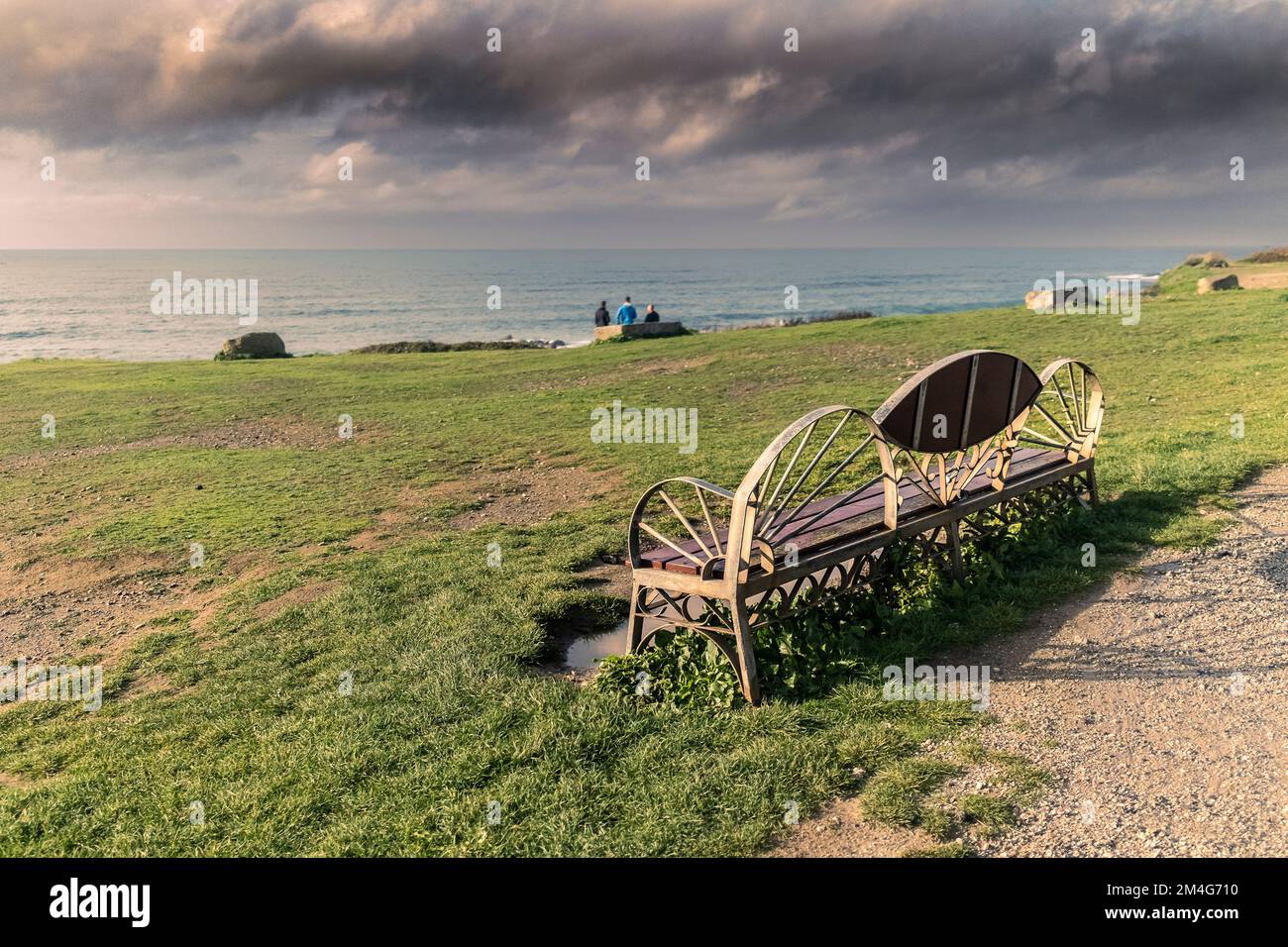 The memorial bench placed in memory of Randall Hayes Davies, British ...