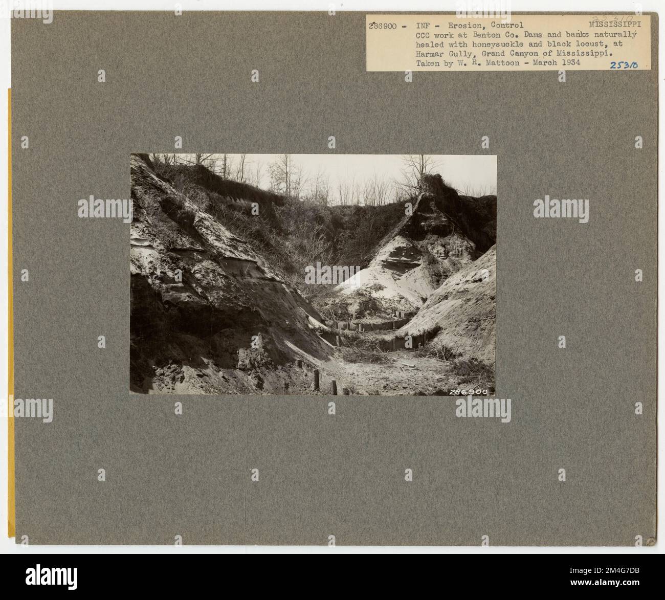 Erosion Control: Gully Plug - Mississippi. Photographs Relating to ...