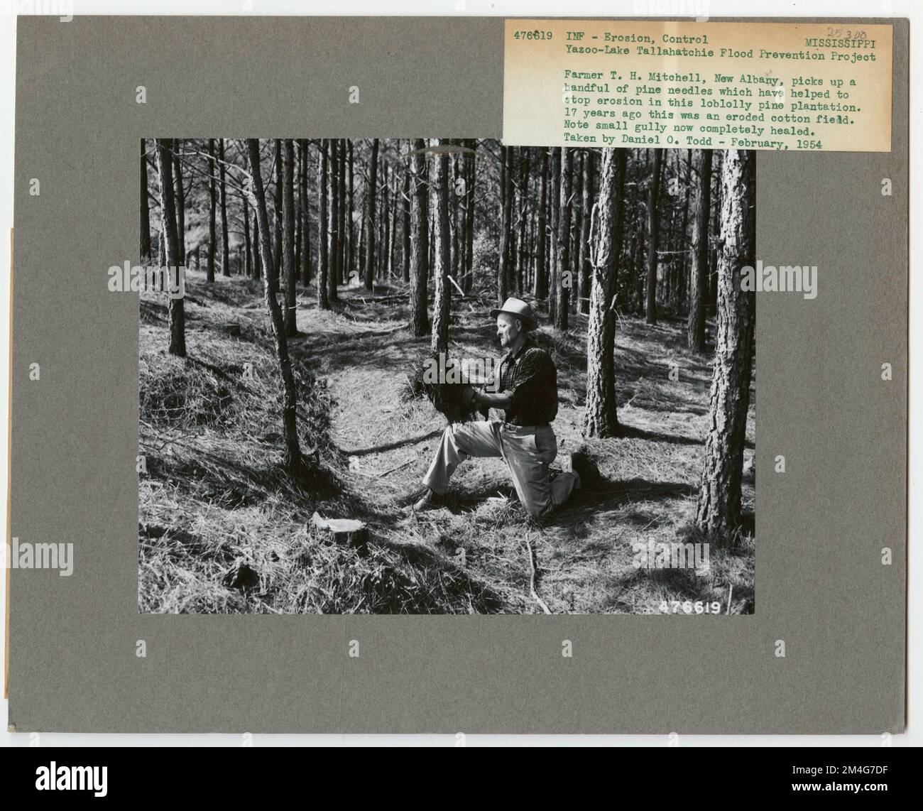 Erosion Control: Gully Plug - Mississippi. Photographs Relating to ...