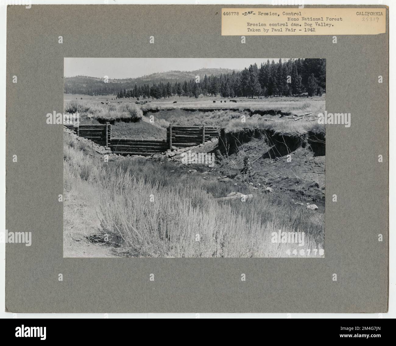 Erosion Control: Gully Plug - California. Photographs Relating to ...