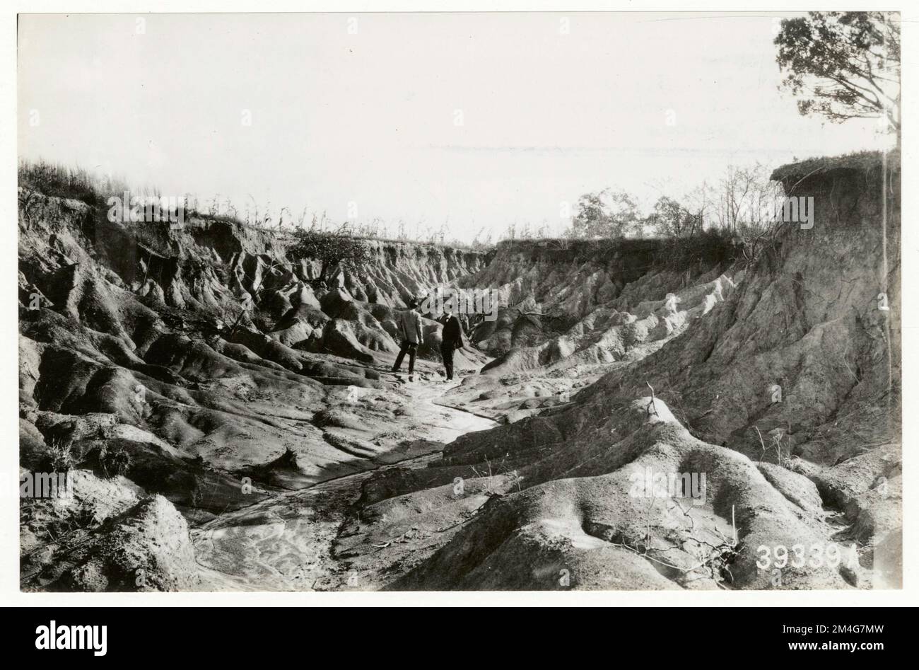 Erosion Control: Gully Plug - California. Photographs Relating to ...