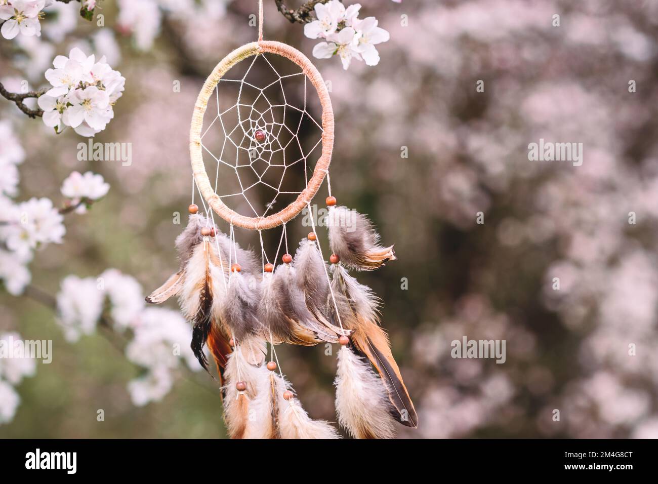 Dream catcher hanging on blooming tree in wind at springtime ...