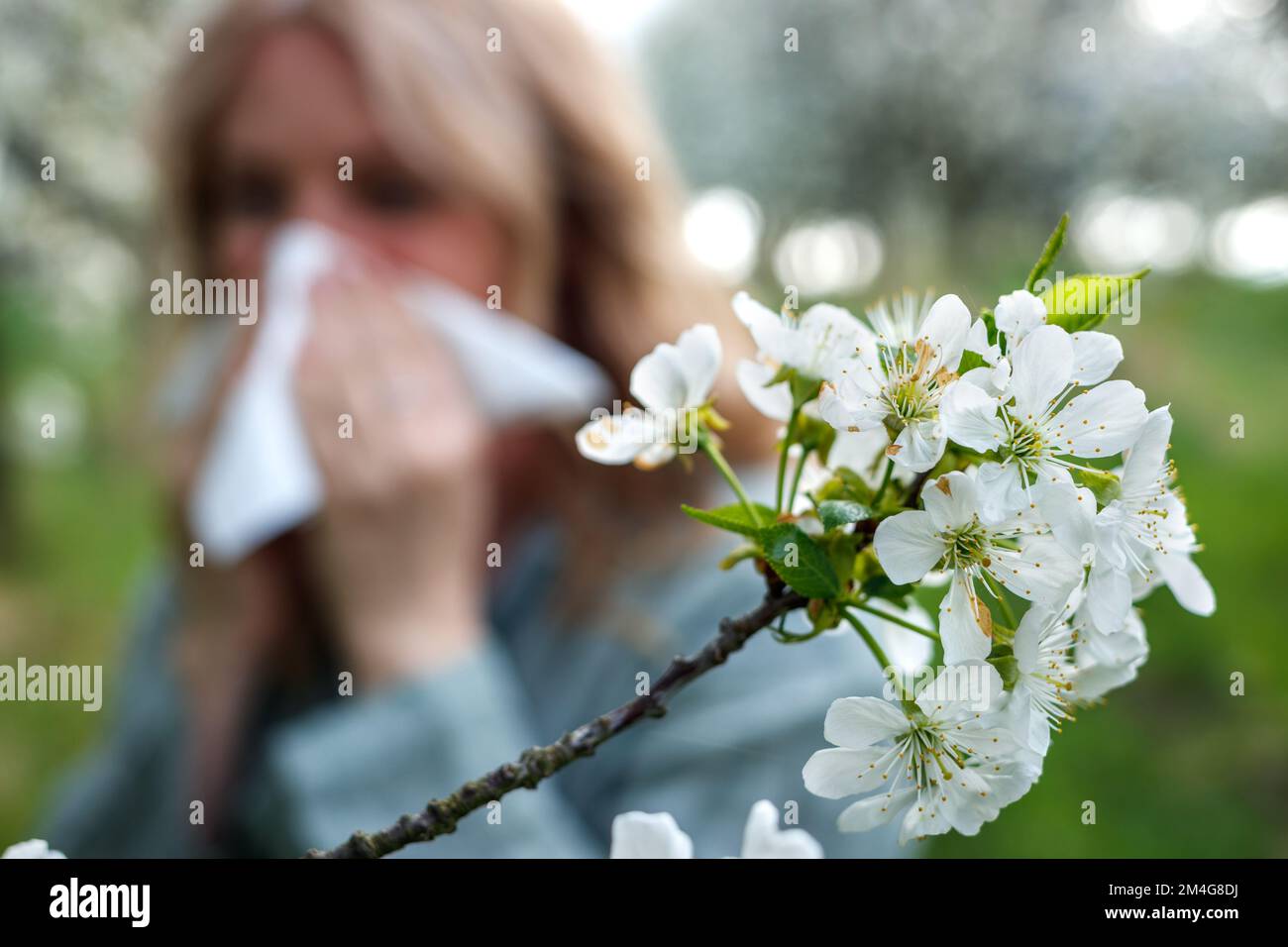 Pollen allergy and hay fever. Woman sneezing and blowing nose outdoors ...